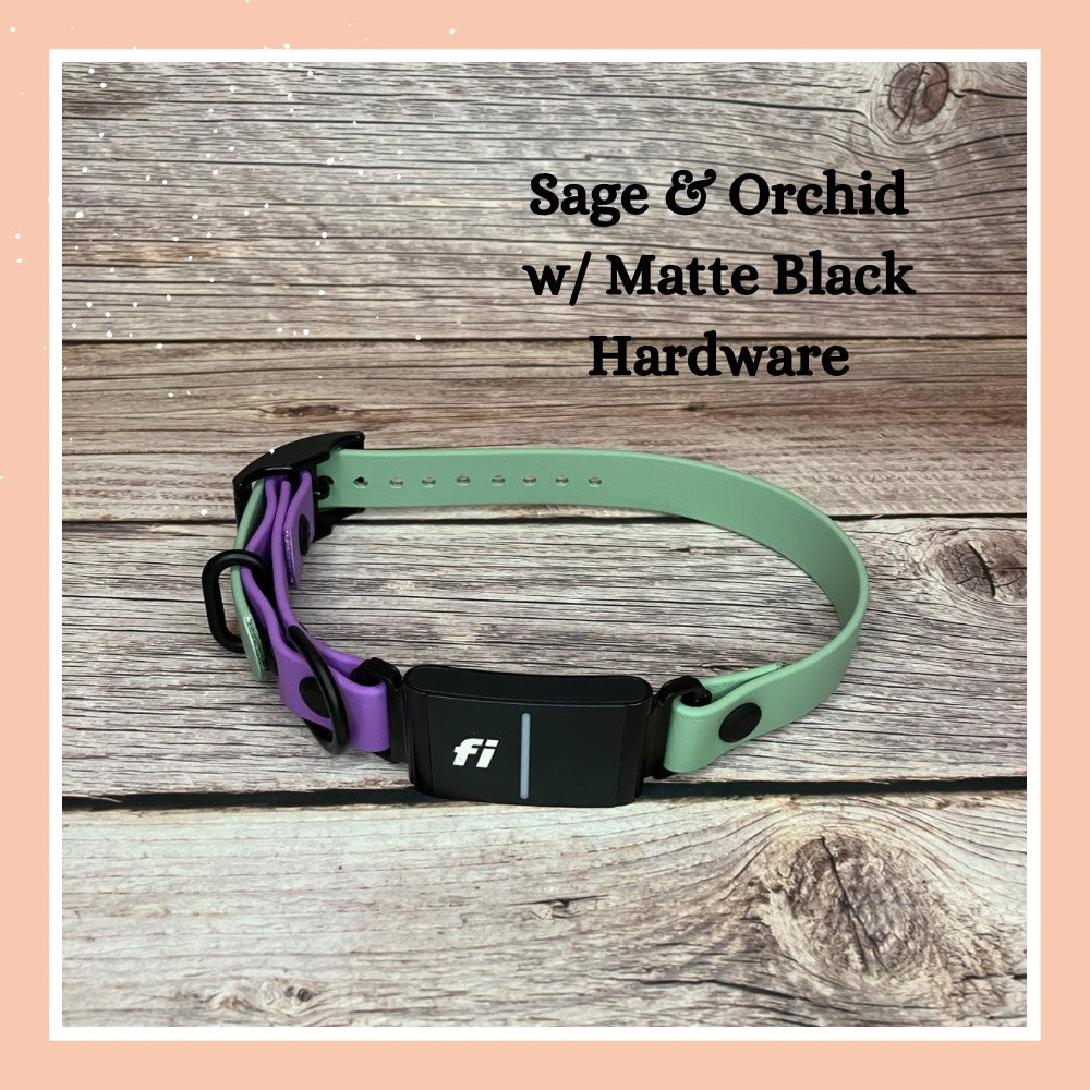 Fi GPS + E Traditional (In-Line) Collar with Tongue Buckle Adjustment ...